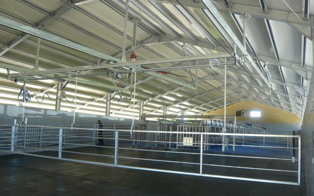 | TDM | Total Dairy Management