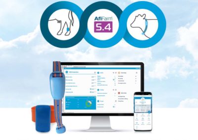 Afi Collar® | TDM | Total Dairy Management