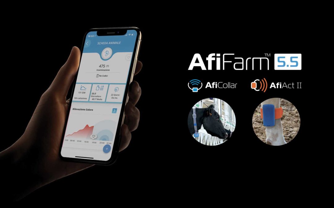 Projects | TDM | Total Dairy Management