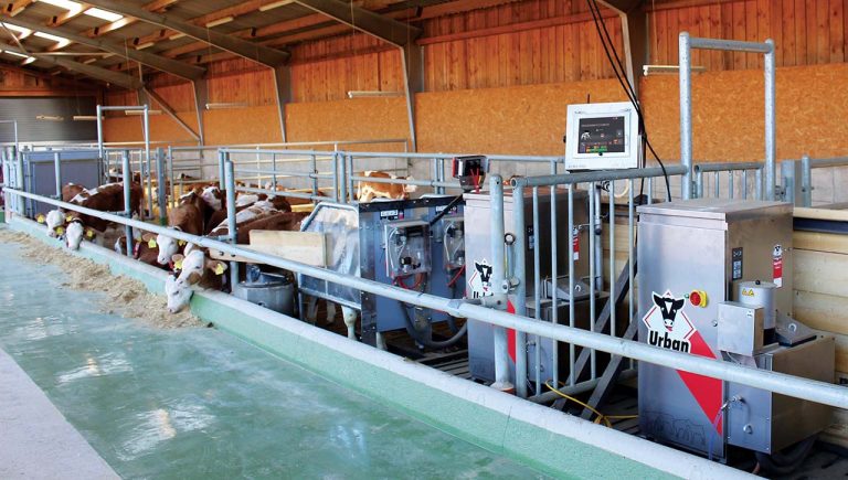 Automatic calves feeder | TDM | Total Dairy Management