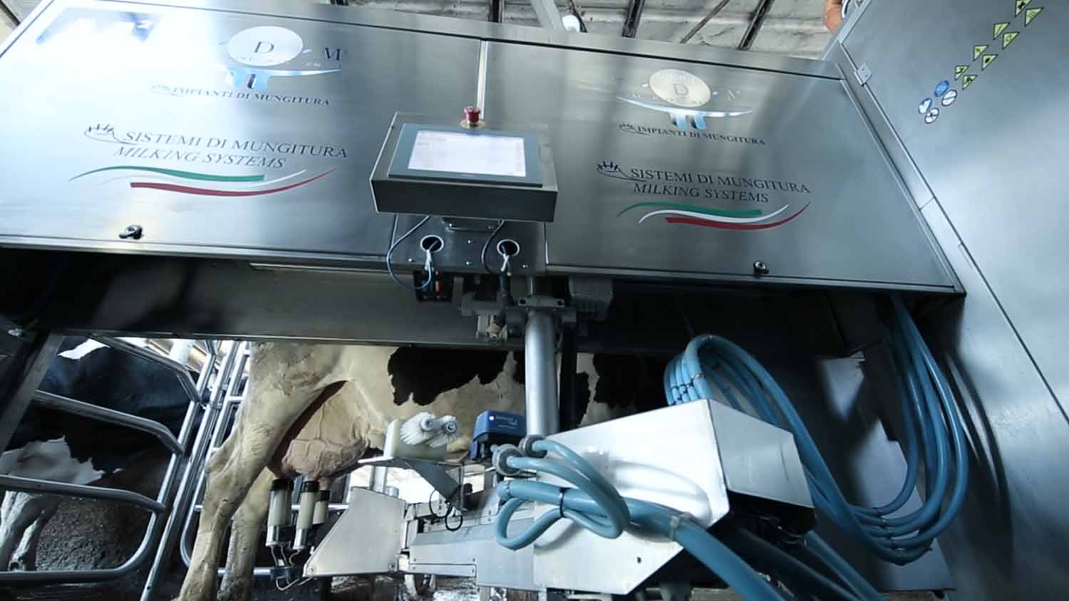 TDM-robot-merlin-4 | TDM | Total Dairy Management