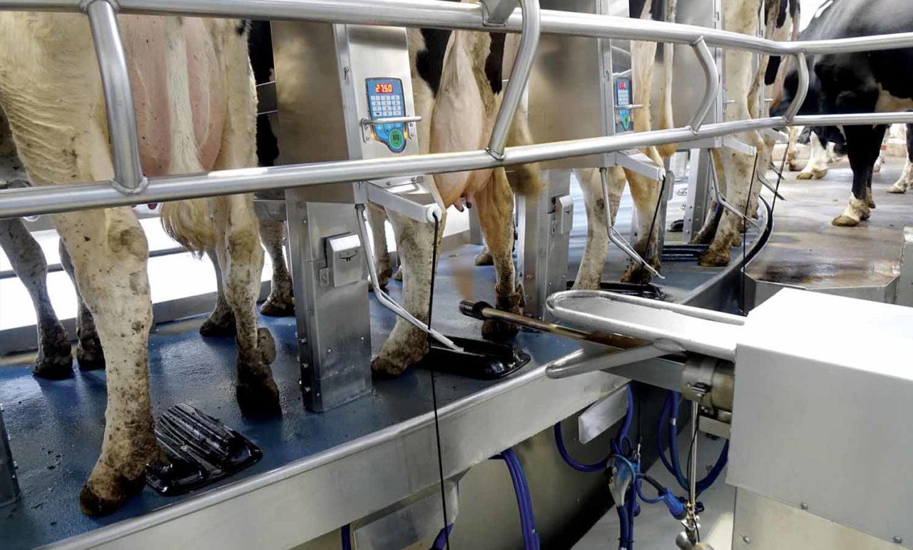 Spare parts, consumables and comfort | TDM | Total Dairy Management