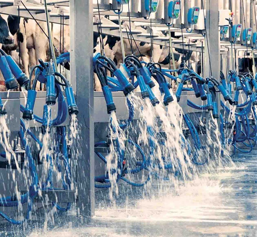 Backflush | TDM | Total Dairy Management