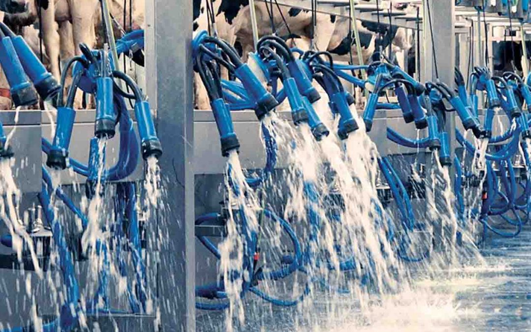 Projects | TDM | Total Dairy Management