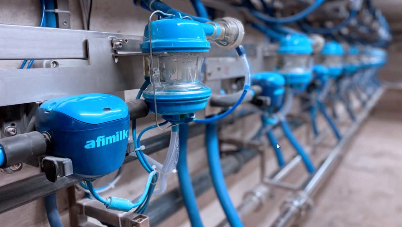 Afilab® | TDM | Total Dairy Management