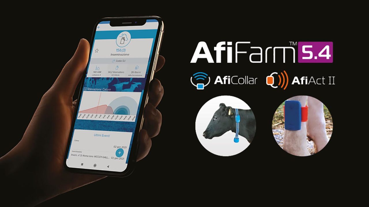 Afifarm® | TDM | Total Dairy Management