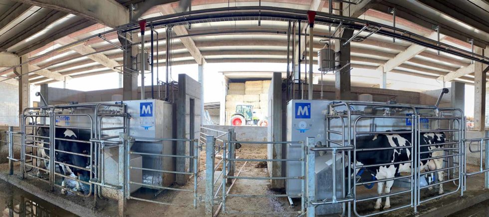 Robot di mungitura | TDM | Total Dairy Management
