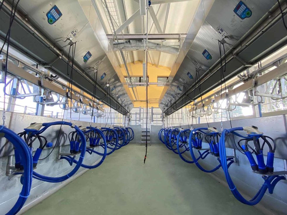 Parallel Milking Parlour | TDM | Total Dairy Management