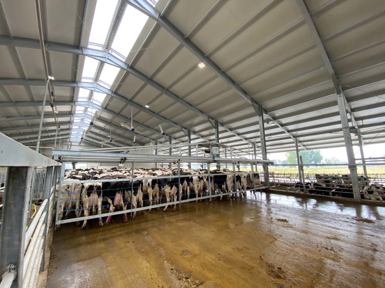 BACKING GATES | TDM | Total Dairy Management