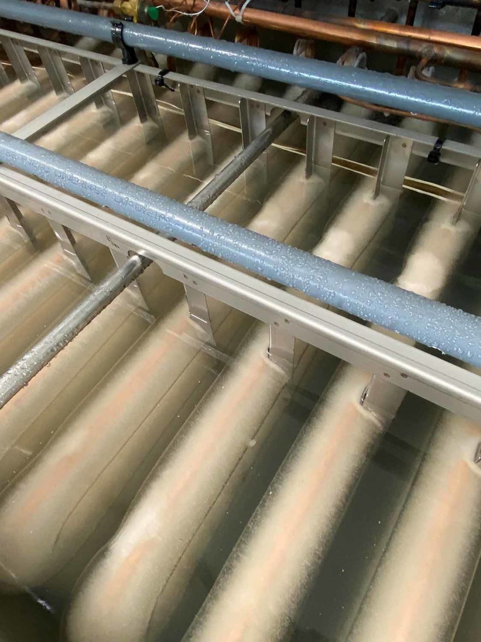 Separated Ice Builder ( PIB ) | TDM | Total Dairy Management