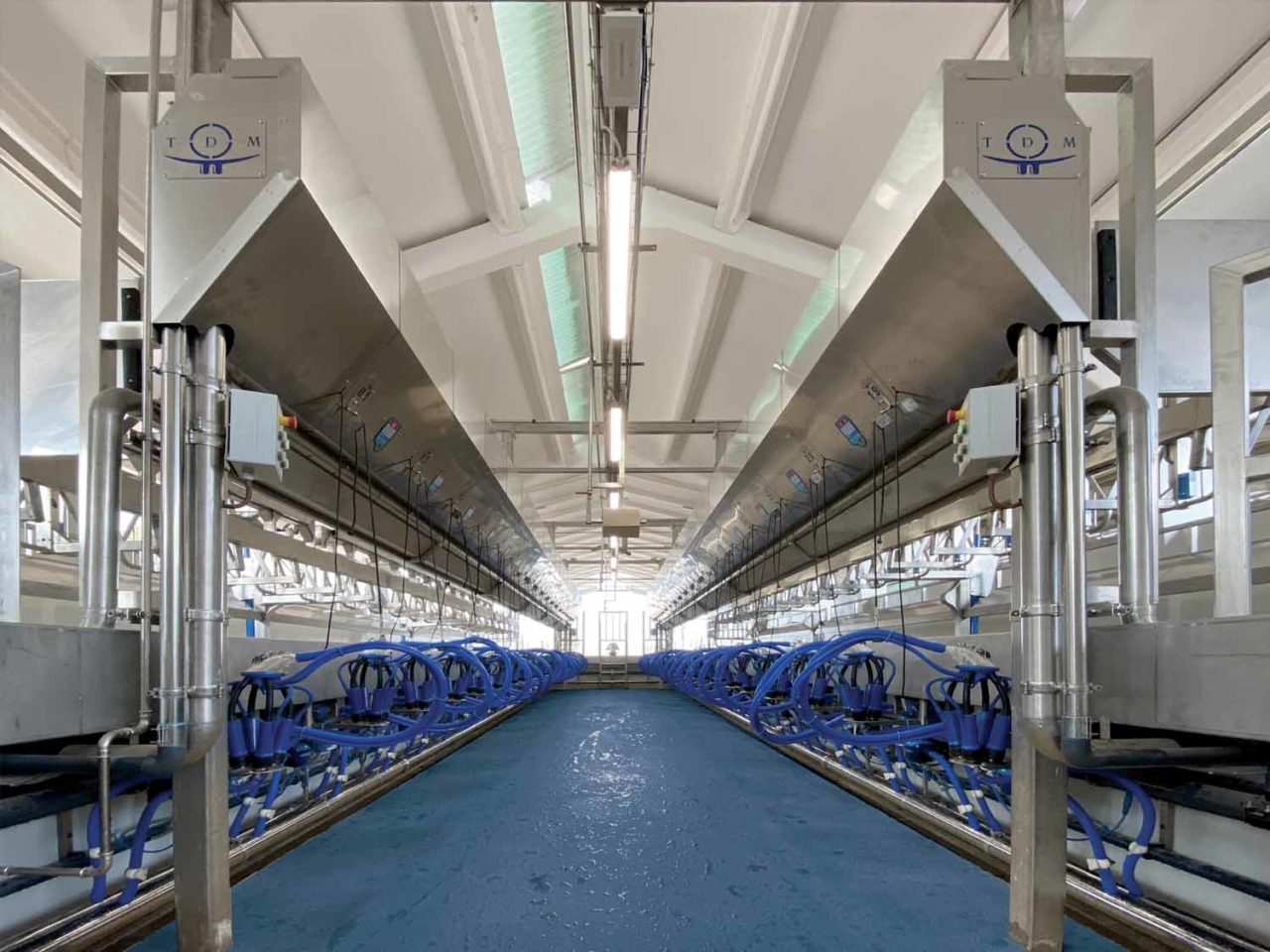 Parallel Milking Parlour | TDM | Total Dairy Management