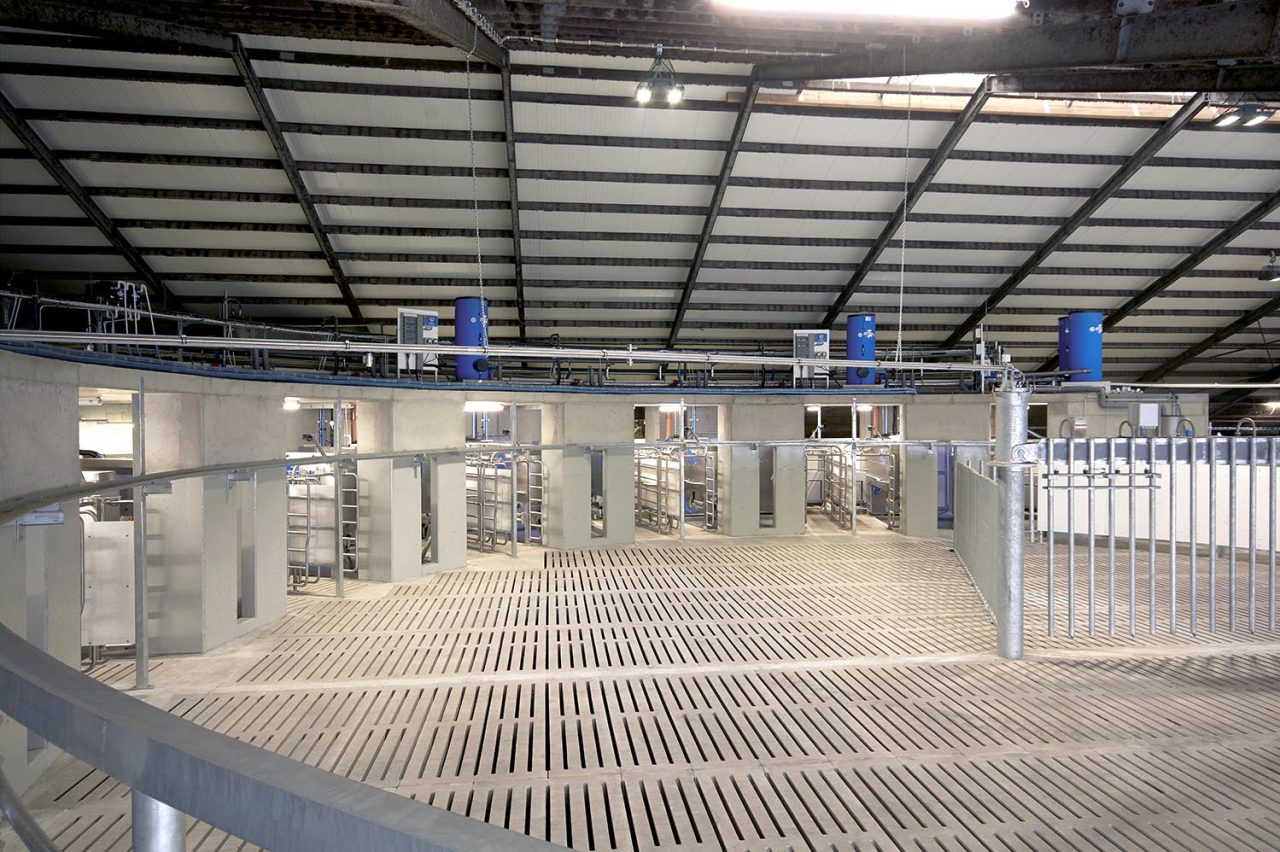 Batch Milking Meridian | TDM | Total Dairy Management